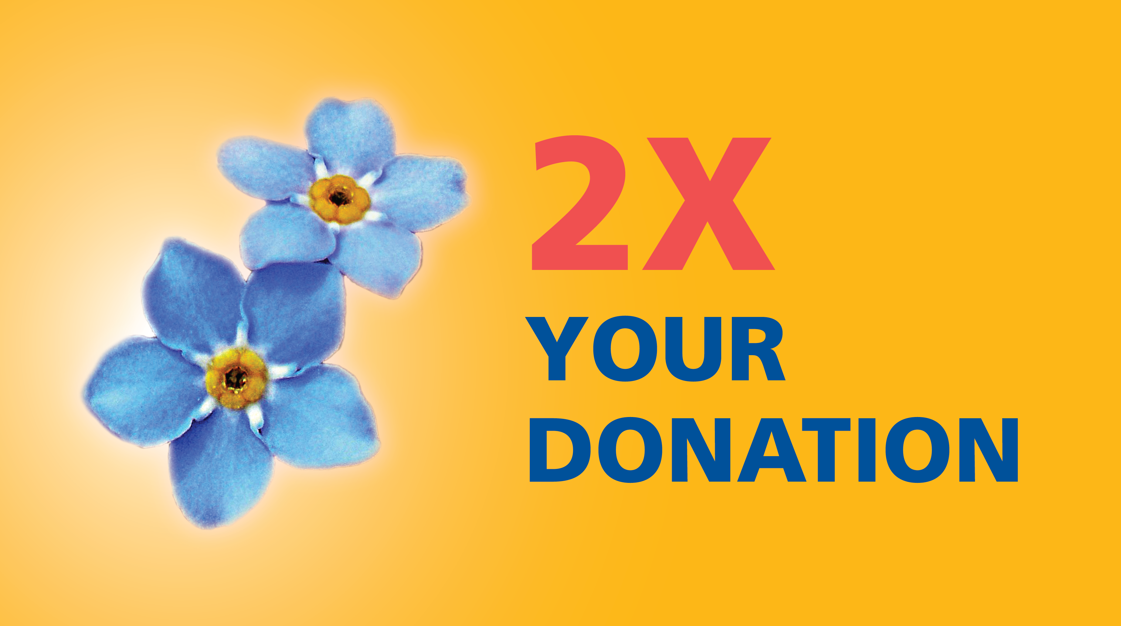 Donate today and have your gift matched. | Alzheimer Society of British ...