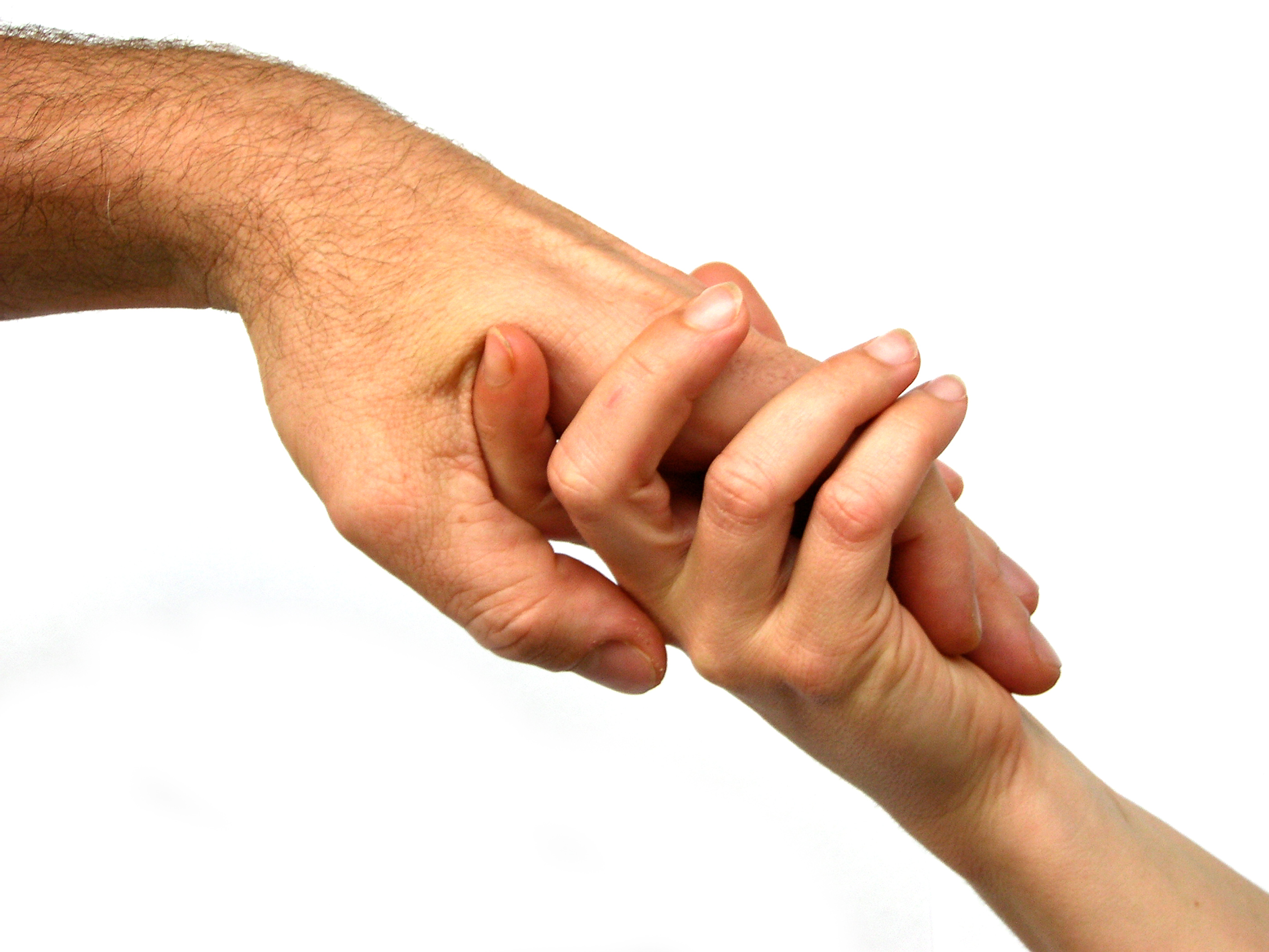 Programs for persons living with dementia | Alzheimer Society of ...