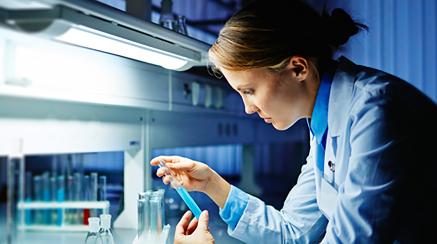 Report forms for currently funded researchers | Alzheimer Society of Canada